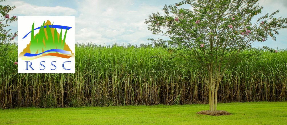 Royal Swazi Sugar Corporation builds a sustainable Talent Management ...