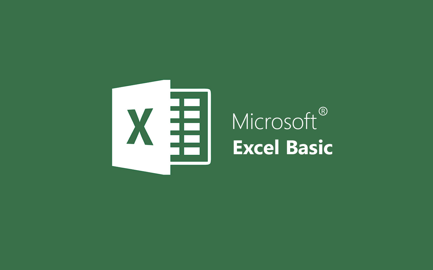 Microsoft® Office Excel® Basic (on request) - UKZN Extended Learning ...